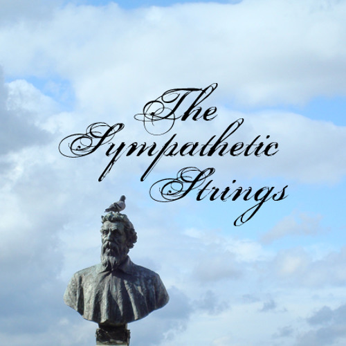Stream [Adjective] [Animal] by The Sympathetic Strings | Listen online ...