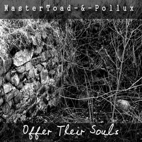 Stream Dark Insects of the Catacomb by Master Toad | Listen online for ...