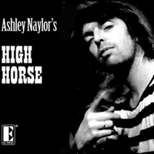 Stream Ashley Naylor | Listen to Ashley Naylor's High Horse playlist ...