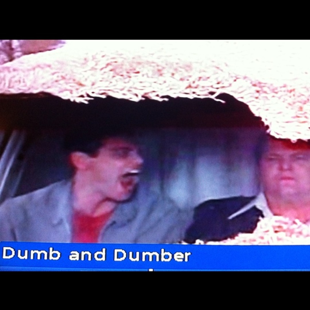 Stream Most Annoying Sound in the World at Dumb & Dumber by Andrew ...