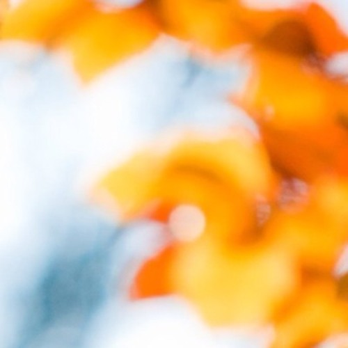 Stream Just Freeze by wisdomwaffles | Listen online for free on SoundCloud