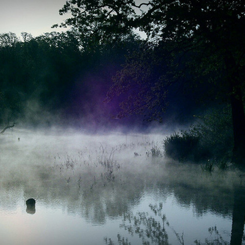 Stream The Enchanted Lake by Twin Scoring Studio | Listen online for ...