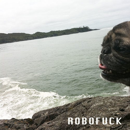 Stream Snarlson Beach by Robofuck | Listen online for free on SoundCloud