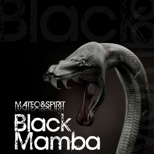 Stream Mateo & Spirit - Black Mamba by Mateo&Spirit | Listen online for ...