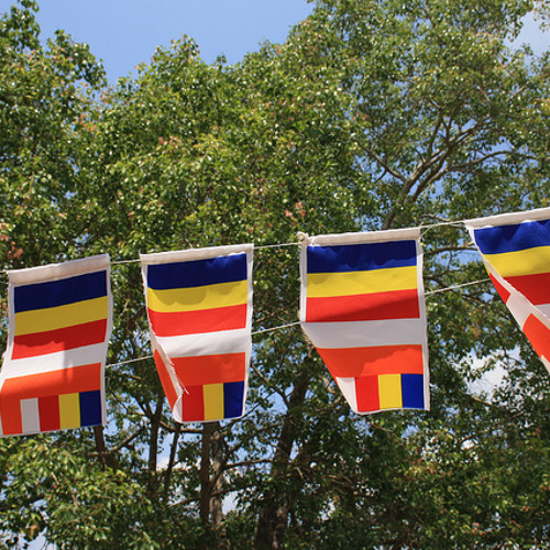 Stream Sasara Wasana Thuru ( W.D Amaradeewa ) by Budu Guna Gee | Listen ...