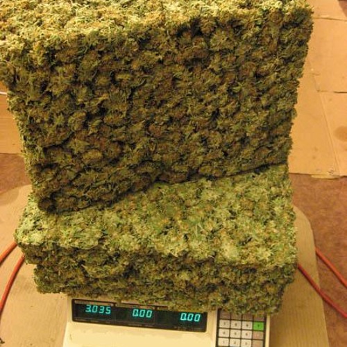 Stream BUSS IT DOWN ( Round of Applause /Waka Flocka -cover song) by ...