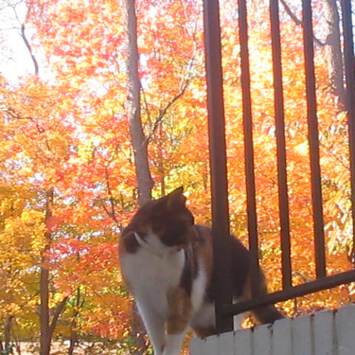 Stream Daniel W. Boothe | Listen to Recent Projects playlist online for ...