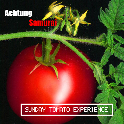 Stream Achtung Samurai - Sunday Tomato Experience by Achtung Samurai ...
