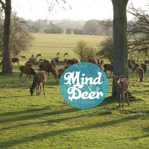 Stream Mind Deer | Listen to Raw Demo playlist online for free on ...