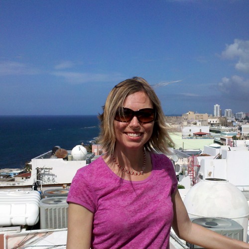 Stream VITF Gay Marriage-1 by Jennifer Lynn VO | Listen online for free ...