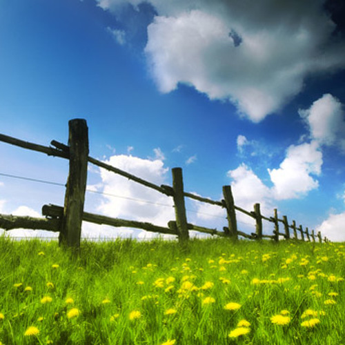 Stream Simou xeler - Spring by simou xeler | Listen online for free on SoundCloud