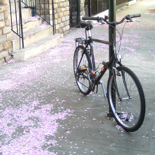 Stream Doppler Deffect by Tulip Crash | Listen online for free on ...