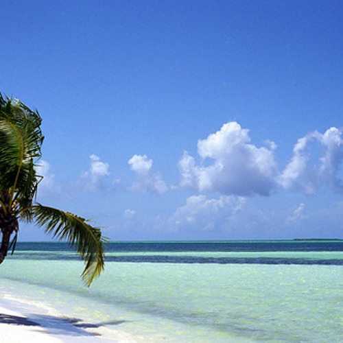 Stream summa tape by oh glam | Listen online for free on SoundCloud