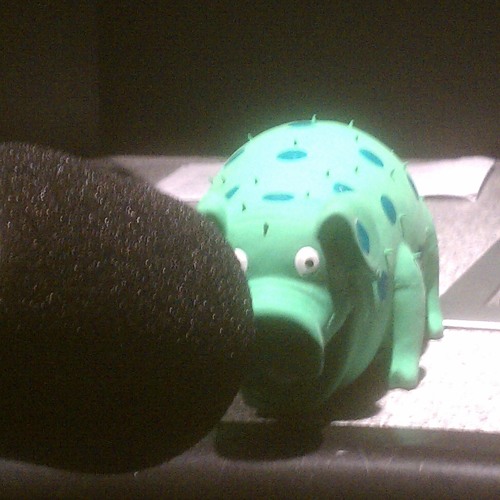 Stream The Pig by Jared Rizzi | Listen online for free on SoundCloud