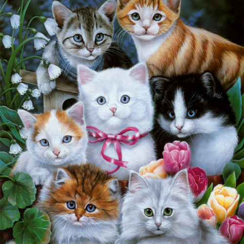 Stream 7 different kinds of meat. chuckmoney by chuck money | Listen ...