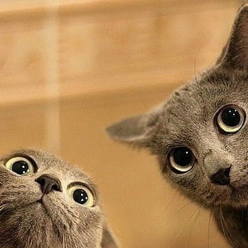 Stream Yasmin - Finish Line (NOIR Remix) by mas9n1ka | Listen online ...