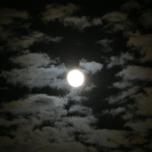 Stream Calling Us Home by ALisa Starkweather | Listen online for free ...