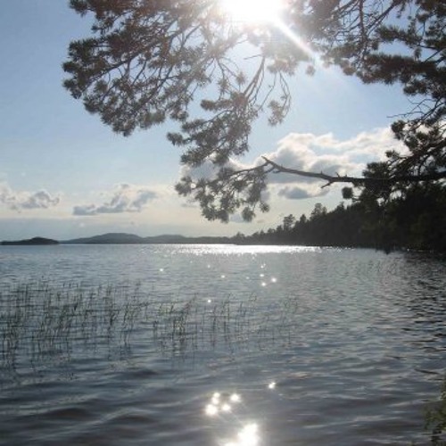 Stream Ol37372 Listen To Trippa Snippa Playlist Online For Free On Soundcloud