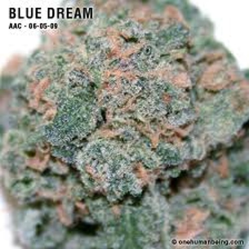 Stream Kush nation by Marquis Griffin | Listen online for free on ...