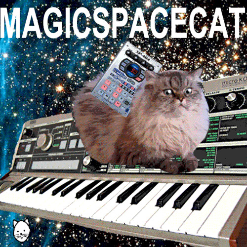 Stream MAGIC SPACE CAT 1 by MAGICSPACECAT | Listen online for free on ...