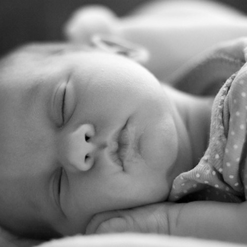 Stream Accidental Babies by Damien Rice by Bryan DiMaio | Listen online ...