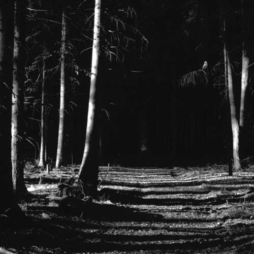 Stream Es war einmal ein Kind by lazy8 | Listen online for free on ...