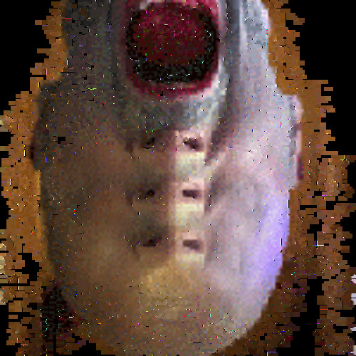 Stream FORM FITTIN KITTEN by anglomangler | Listen online for free on ...