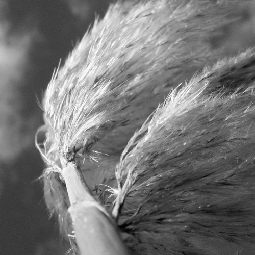 Stream Lesson Learned (Master Loves You) by Bones On Highways | Listen ...