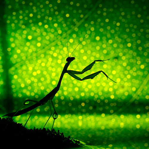 Stream Control - Alt - Delete _-_ Set - End Task by Control - Alt ...