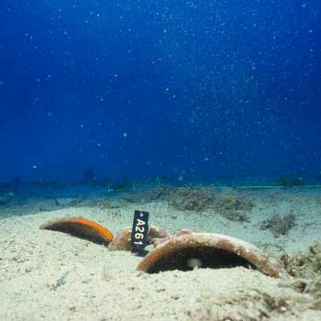 Stream Dokos shipwreck, discovered by Peter Throckmorton. by ...