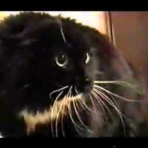 Stream OLD LONG JOHNSON mix [Free download] by TreeMendous | Listen ...