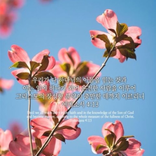 Stream Munkh-Od Ser-Od | Listen to korean worship songs playlist online ...