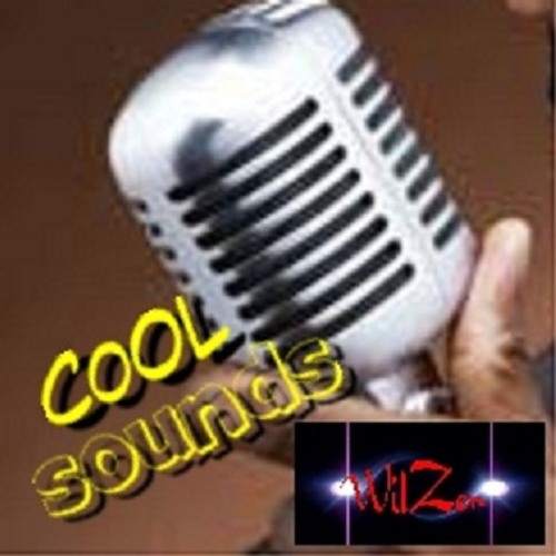 Stream WILZEN - CoOL SOUNDS (cool FUNK/Groove) by FONK is BACK | Listen ...