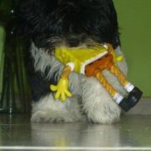 Stream la radio Mops - emo (creado con Spreaker) by Fabiana Di ...