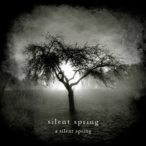 Stream Silent Spring by a silent spring | Listen online for free on ...