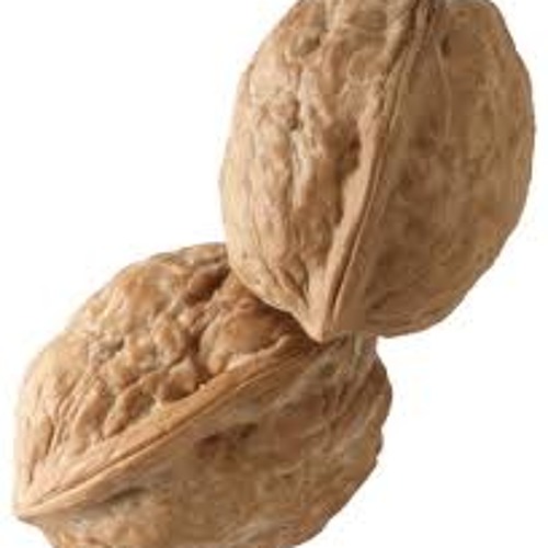 Stream These Nuts by Matthew Butchek | Listen online for free on SoundCloud