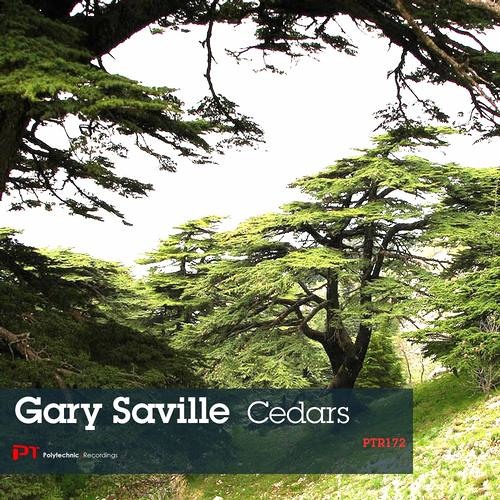 Stream Gary Saville - Tru Polytechnic by wuli | Listen online for free ...