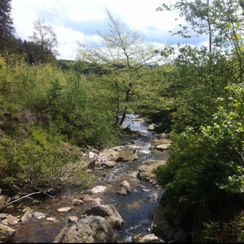 Stream Natuur op de hoge venen at La vallée du bayeone by VanDJ ...