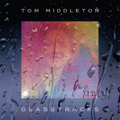 Stream Tom Middleton - Larynx by music70 | Listen online for free on ...