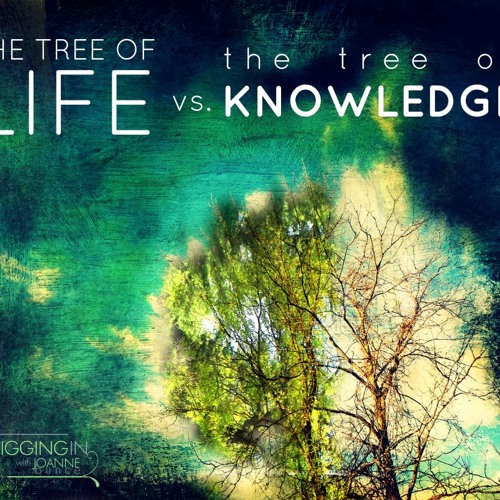 Listen to playlists featuring Tree of life verses tree of knowledge by ...
