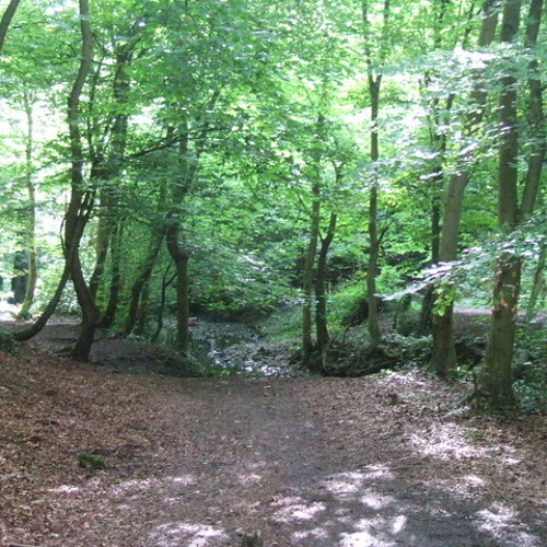 Stream Badock's Wood II - River (2012) by Jono Gilmurray | Listen ...