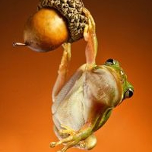 Stream Half Whole by Edoxin | Listen online for free on SoundCloud