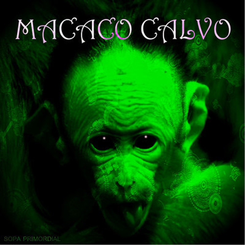 Stream MACACO CALVO - KING KONG - SOPA PRIMORDIAL by Romer Goya ...