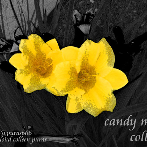 Stream Candy man - colleen vocal unsigned talent by colleen | Listen ...