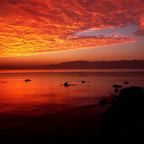 Stream Interbeing (Poem by Thich Nhat Hanh) by Kok Hong Tang | Listen ...