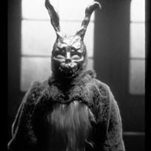 Stream Frank The Rabbit by Frank The Rabbit | Listen online for free on ...