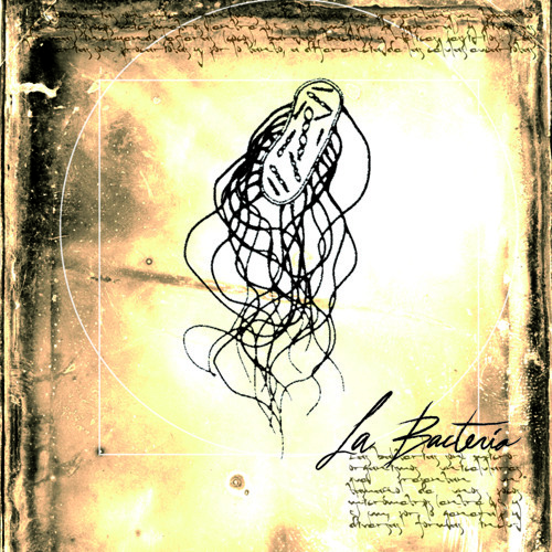 Stream EUPHORIA | Listen to LA BACTERIA playlist online for free on ...