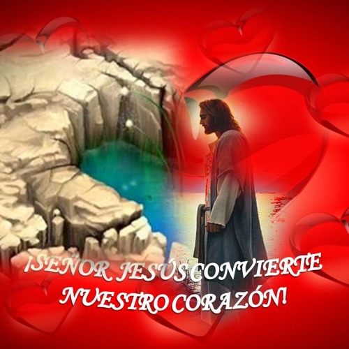 Listen to playlists featuring Te doy mi Corazón - Estación Cero by ...