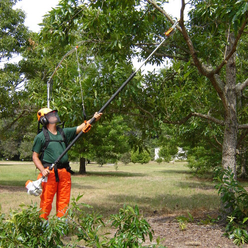 Stream Easy Lift Harness - My Cool Inventions radio show 970 WFLA (July ...