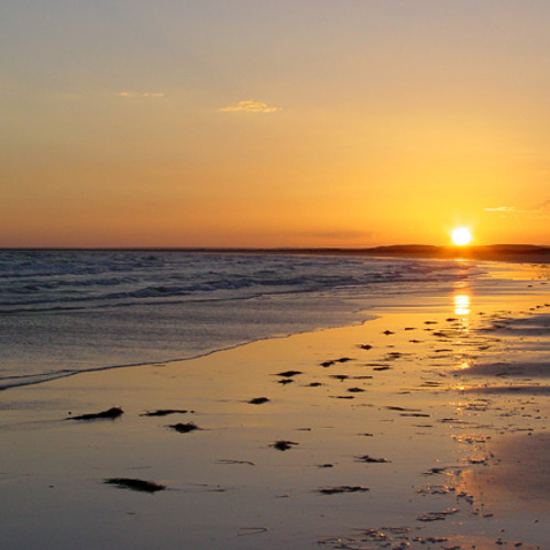 Stream Sol Divino - Mamboloco (Original Mix) by Mamboloco | Listen ...